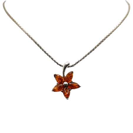 Bijuterii cu Chihlimbar - Madammi